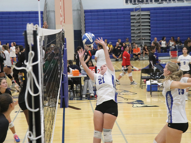 HS Volleyball Friendship Tournament | Post Details