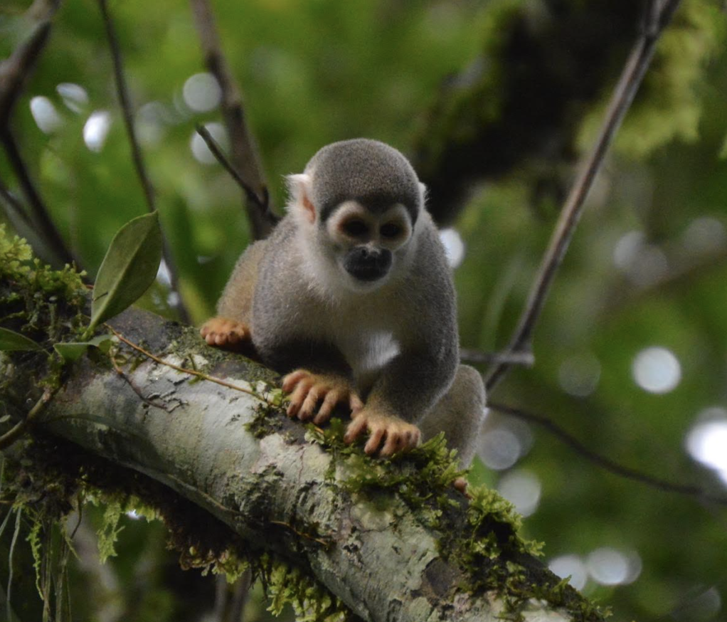 Galapagos Island Discovery Experience | Endorsement Story