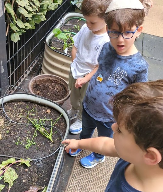 Parsha, Kindness, and Drip Irrigation: ECC Students See How Tiny Acts ...