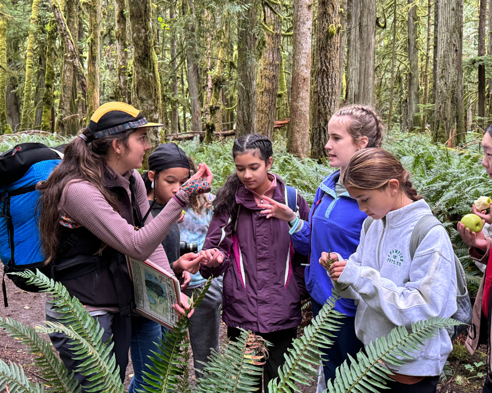 Exploring Lake Crescent: 7th Graders' Journey of Discovery at ...