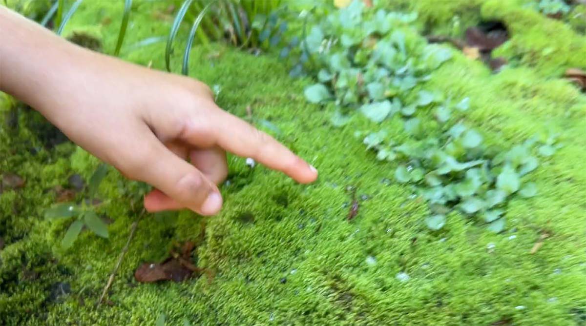 Collaboration grows… | Blog Details