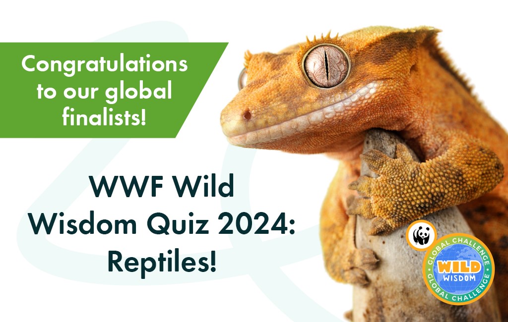 Two Globeducate International Schools Advance to WWF Wild Wisdom Global ...
