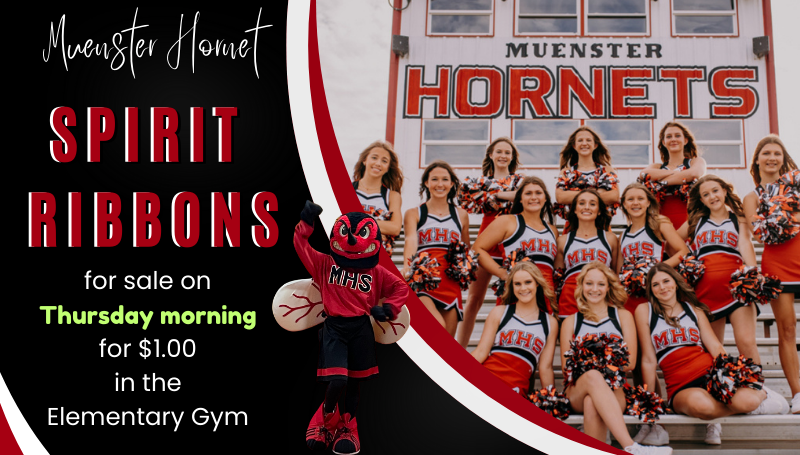 Spirit Ribbons for Sale on Thursday, November 7th | Post Details