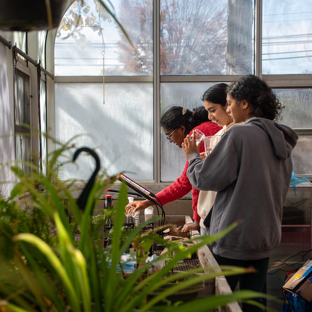 Molecular Biology Students Immerse Themselves in Research Projects ...