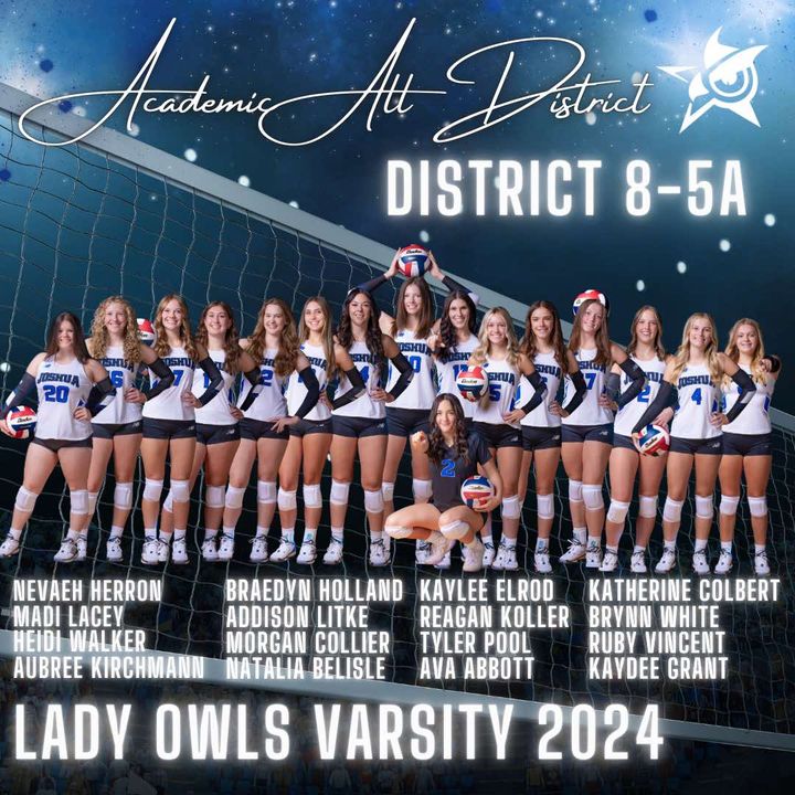 Lady Owls volleyball well represented on 2024 All-District Teams ...