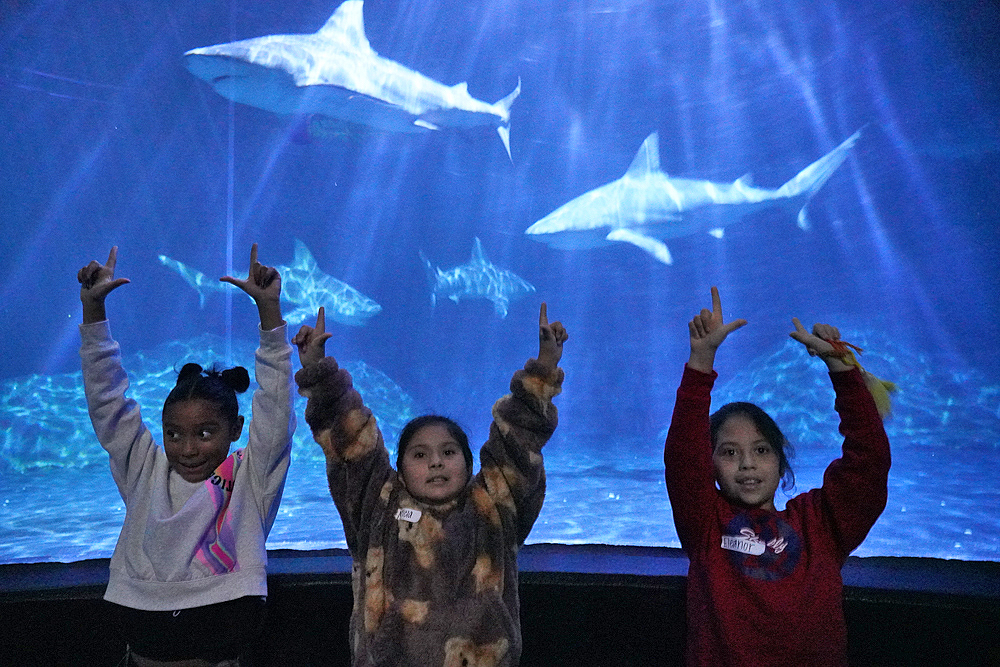 Boevers 3rd Graders Take Tour Of Oklahoma Aquarium | Campus Life Details