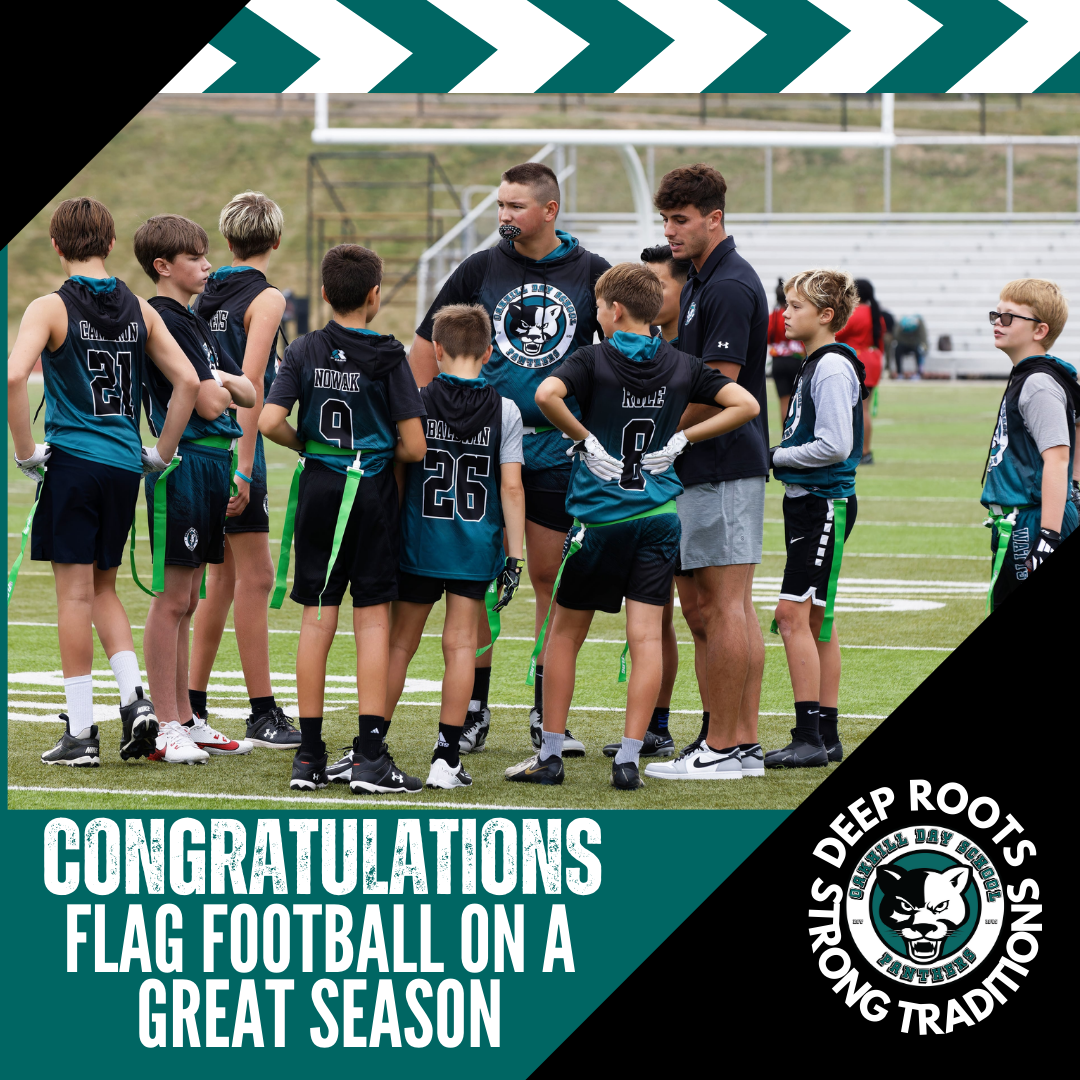 What a Season! Flag Football | News Details