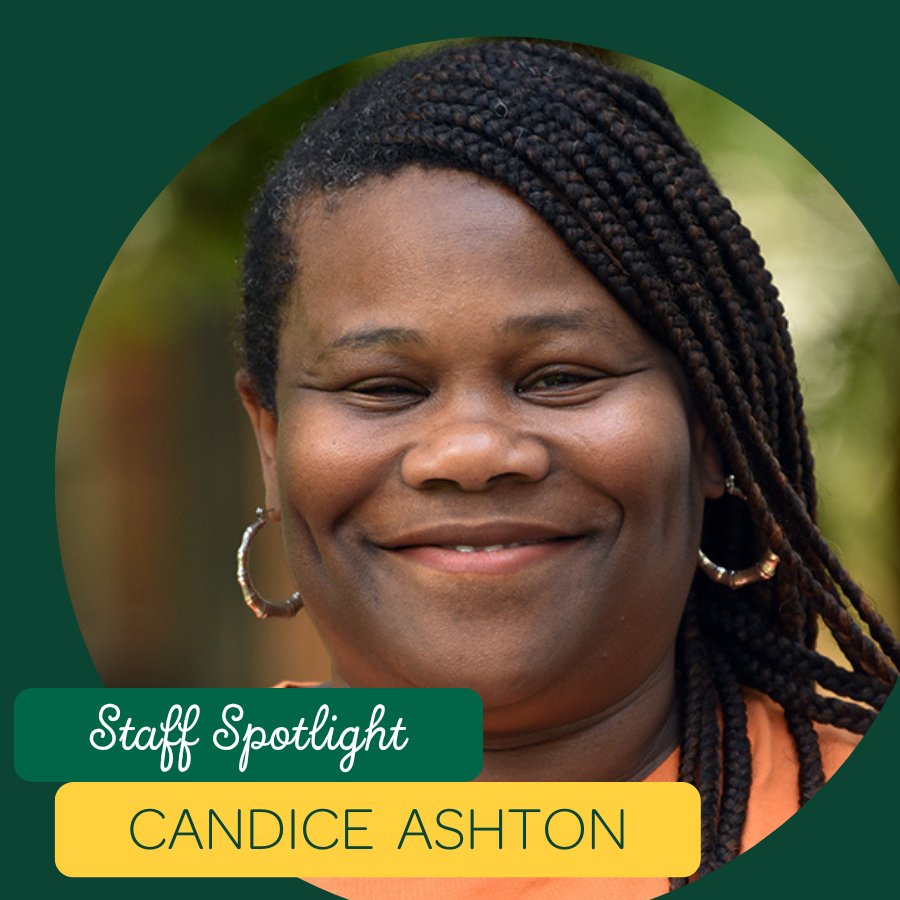 Candice Ashton: Champion of Educational Access and Empowerment is ...