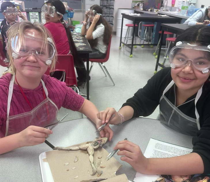 6th Graders Cut Open Frogs For Science | Campus Life Details