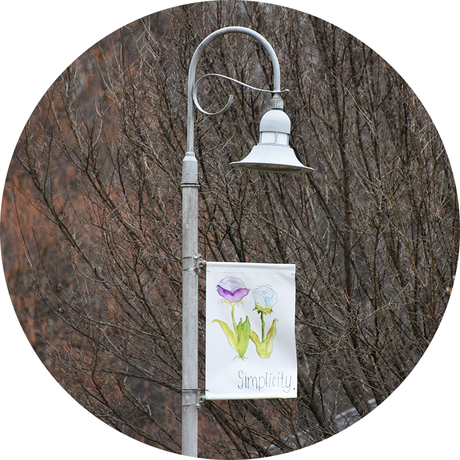 Illuminating Values: Quaker Banners Shine at Sandy Spring Friends ...