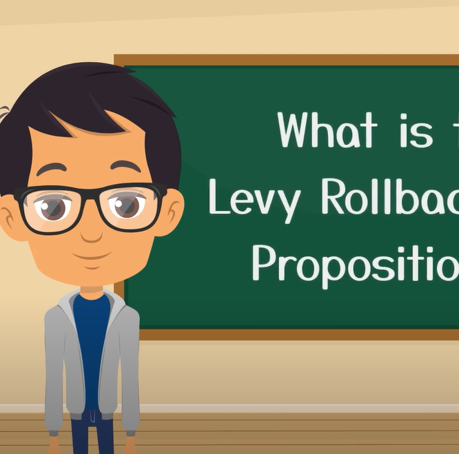 How does the Capital Levy affect the Bond | School Construction ...