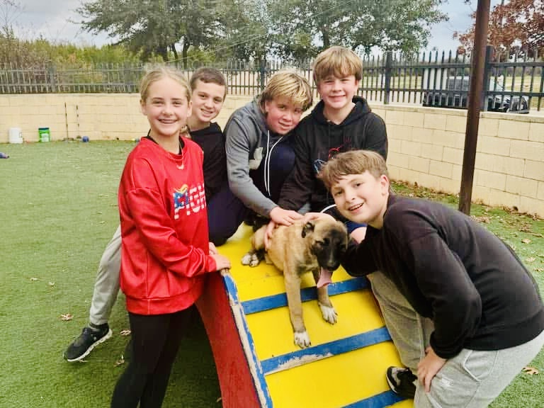 SAGE Students' Holiday Service Project | Post Details