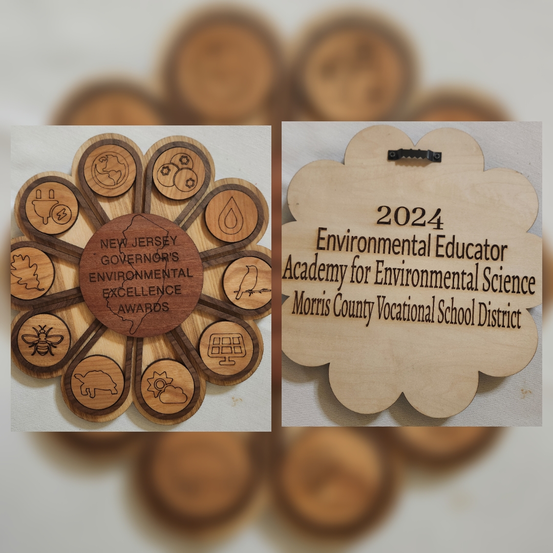 Environmental Science Resources Environmental Science Archives