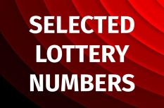 Lottery Numbers | Post Details