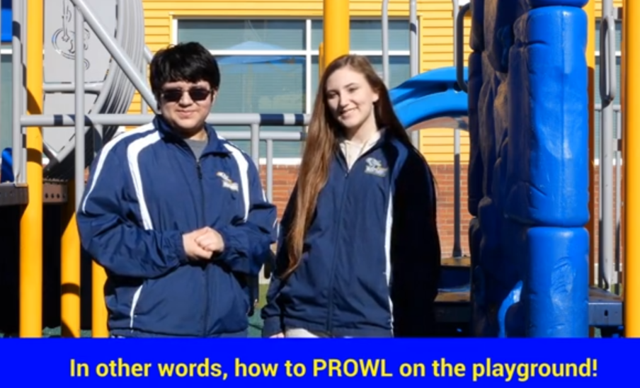 Nighthawk Headline News January 8, 2025 | News Landing Page