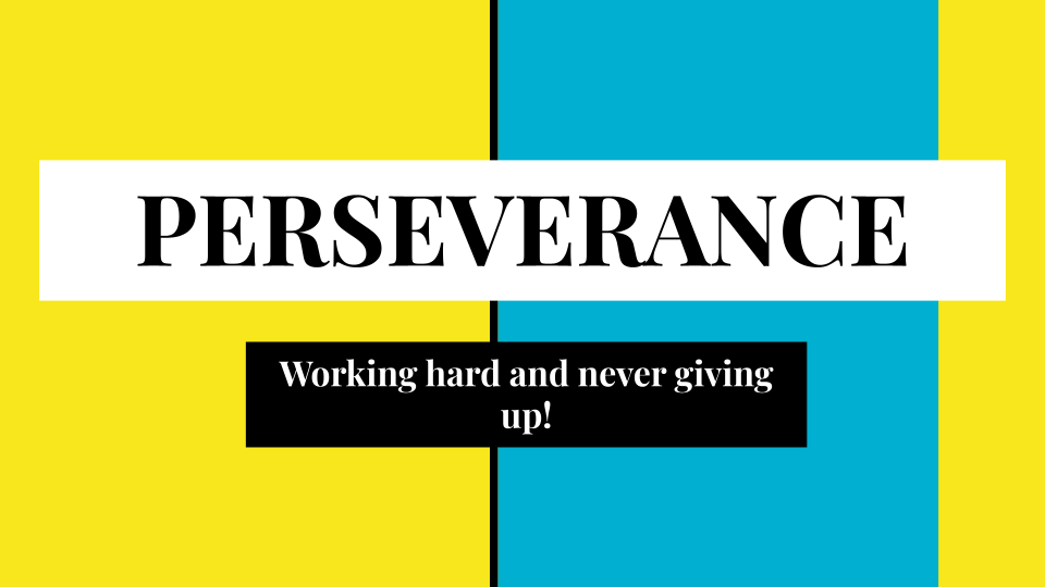 Character Trait: Perseverance | article