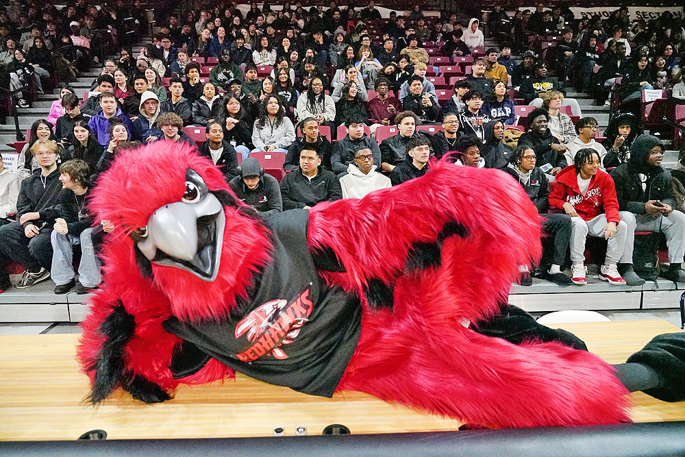 Meet Rocket The Redhawk - Union's New Mascot | News Details