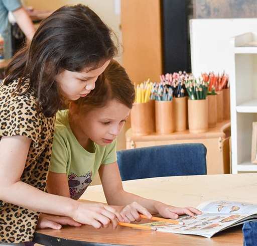 Why the Montessori Three-Year Cycle Matters | News page post