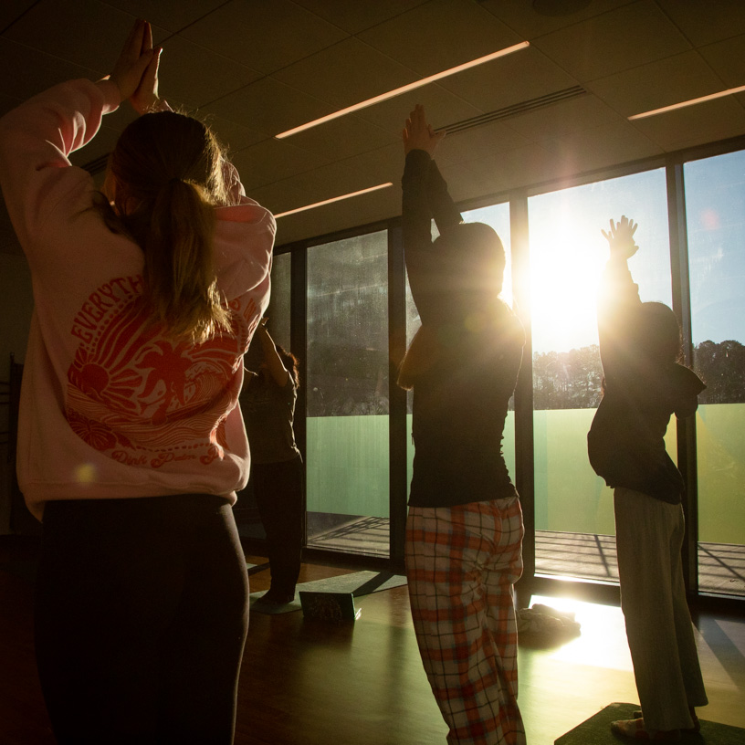Yoga Programming Lives (and Breathes) in Norona Wellness Room | Short ...
