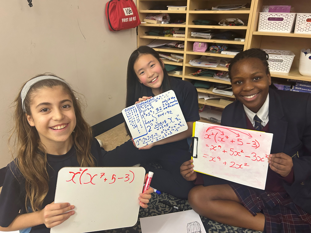 Learning Through Teaching with Grades 9 & 10 | Blog Post - Meadowridge ...