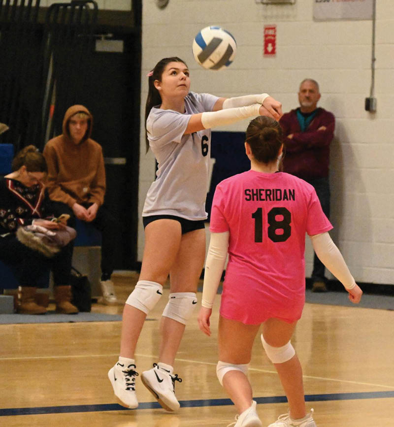 Volleyball Team Hosts "Spike Out Cancer" Game | Post Details