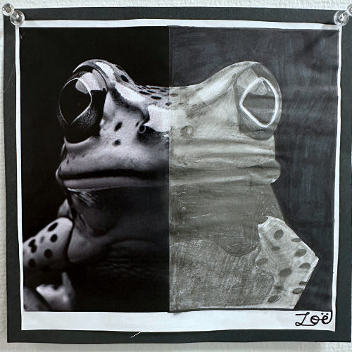 Symmetry and Value | Spotlight Stories Details