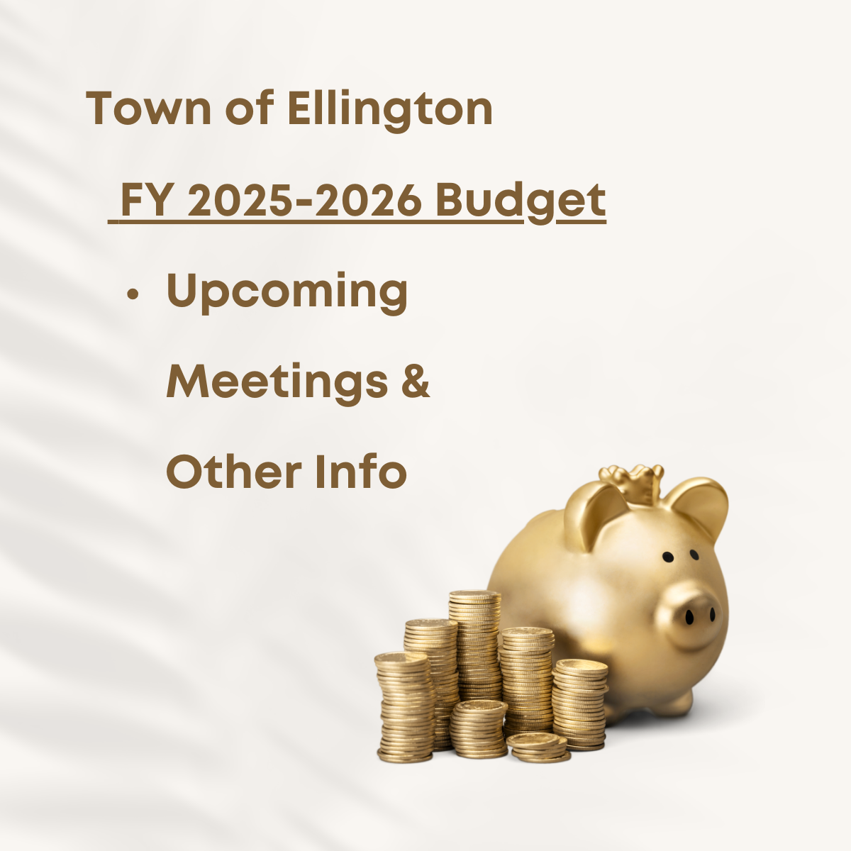 FY 2025-2026 Town Budget | detail - Town of Ellington