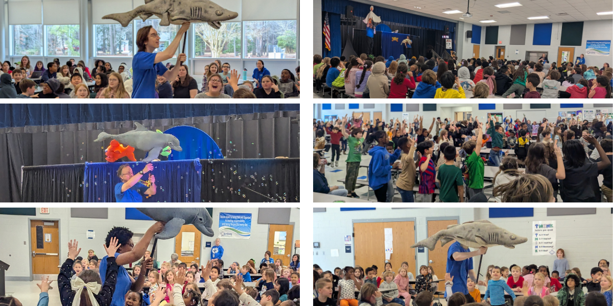 Rainbow Puppet Show Visits YES | Post Details