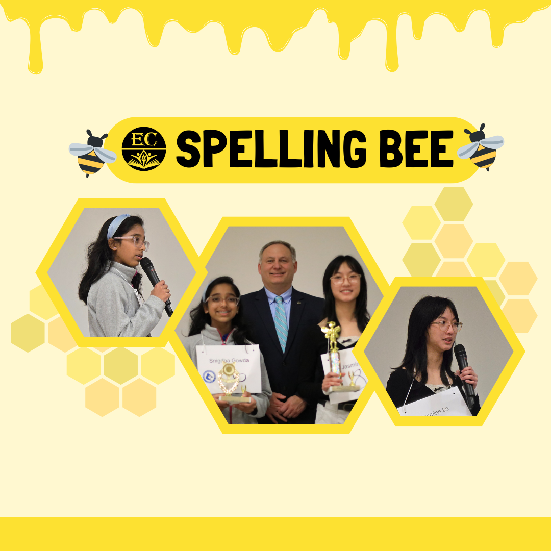 2024-2025 ECSD Spelling Bee Winners | Post Details