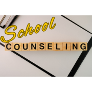 Richland Northeast High School counseling program nationally recognized ...