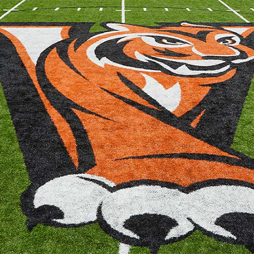 Valley High School names new director of athletics and activities ...