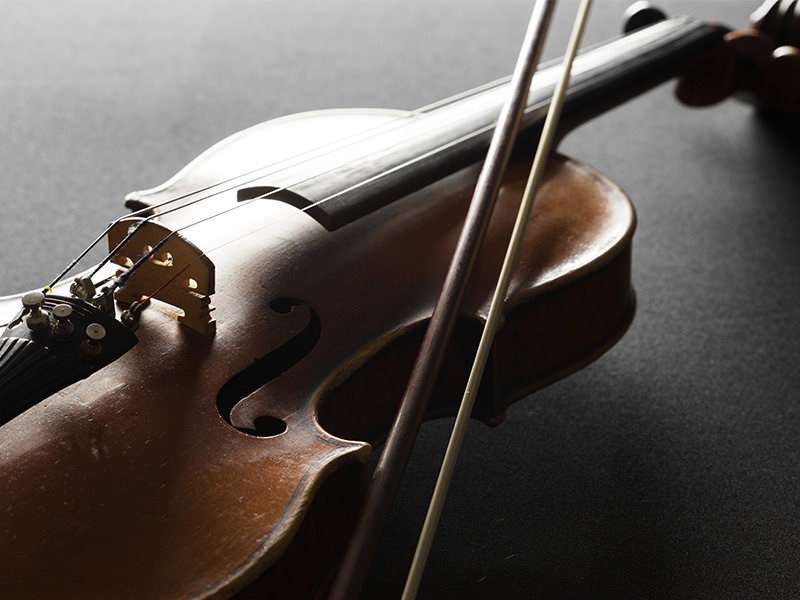 Nine Richland One Students Selected for All-State Orchestra | Details