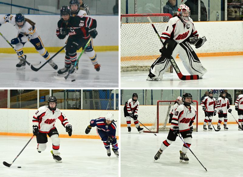 Four Wild players named to All-State teams | Post Page