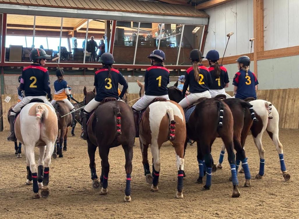 Felsted Horse Polo: SUPA Winter Championship | Posts Page