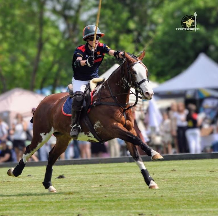 Felsted Horse Polo: International Selection for Ben H | Posts Page
