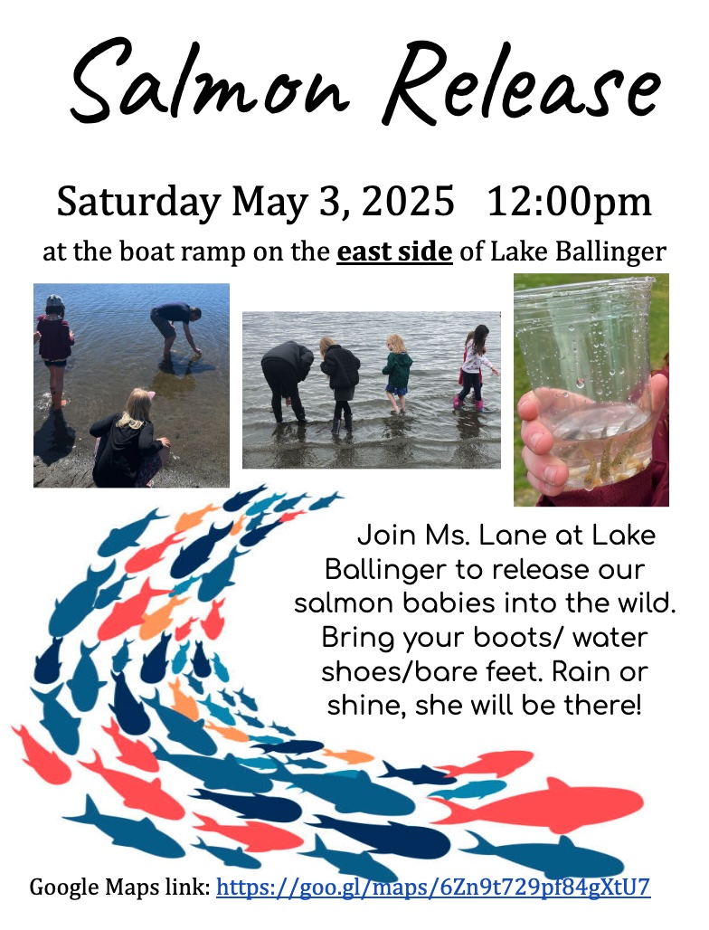 Salmon Release at Lake Ballinger - Save the Day - May 3rd | MP Features ...