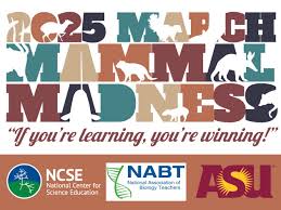 March Mammal Madness: Play Along with 7th Graders! | News Post