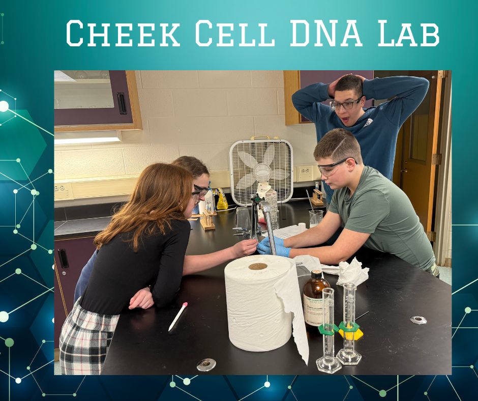 7th Grade Check Cell DNA Lab | Default Board Post Page 2