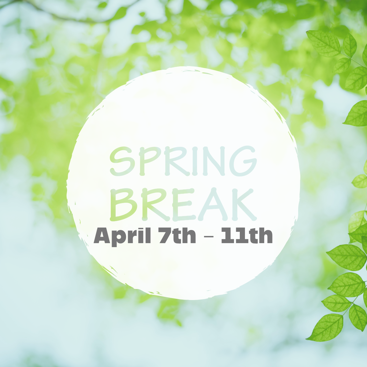 Spring Break | Post Details