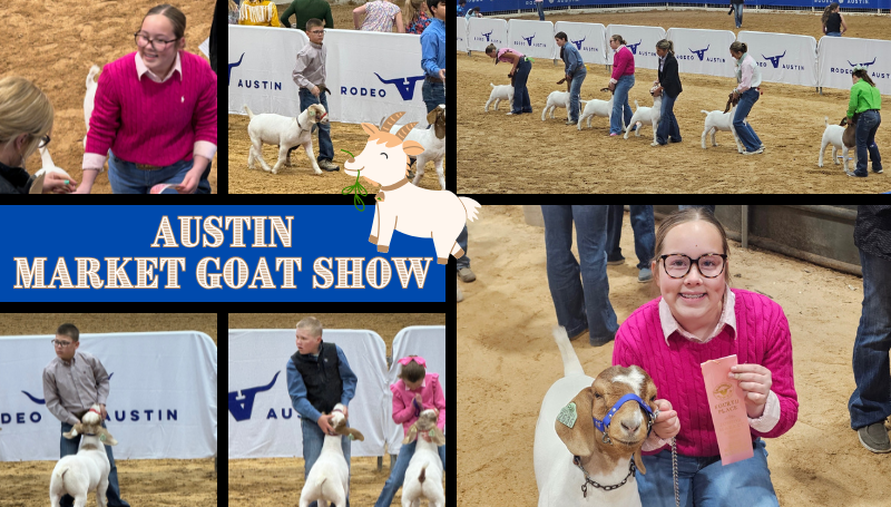 Austin Market Goat Show | Post Details