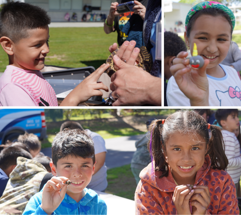 Killybrooke Students Explore the Natural World Around Them With a Visit ...