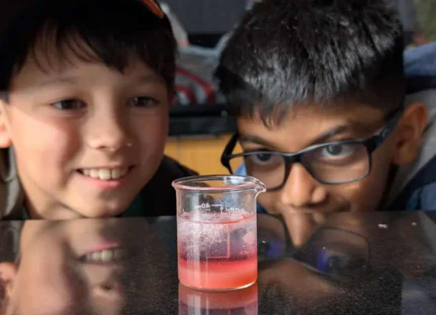 Fourth Grade Scientists: Extracting DNA from Strawberries | post - Alta ...