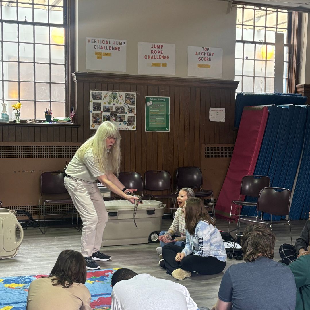 Welcome Back The Lizard Guys! | Post Detail