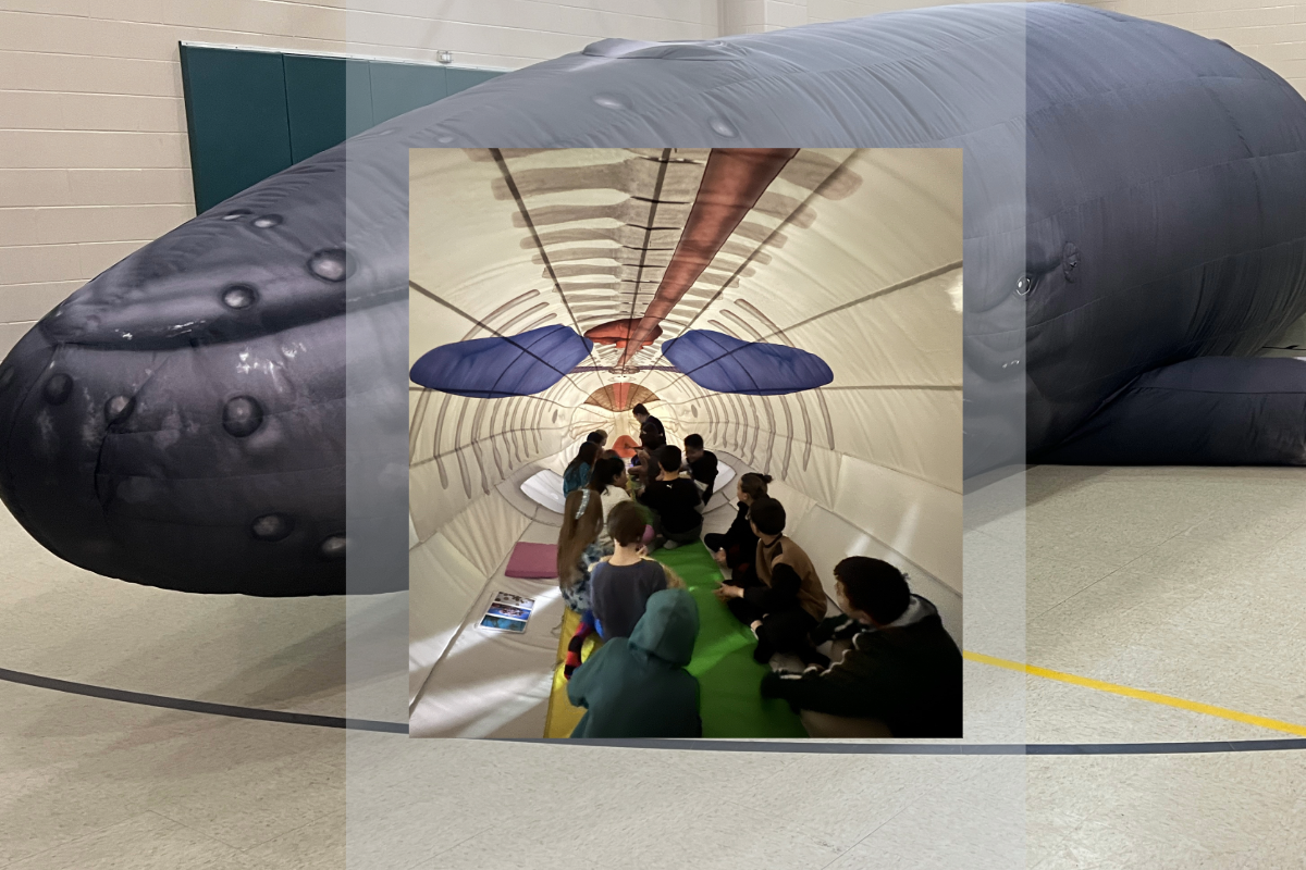 A whale of a lesson for third graders | TSC Posts