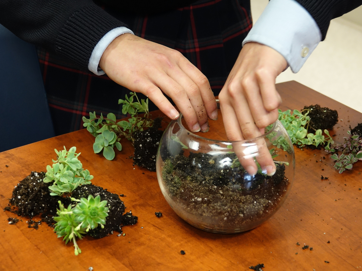 LCC Celebrates Earth Week | News Detail