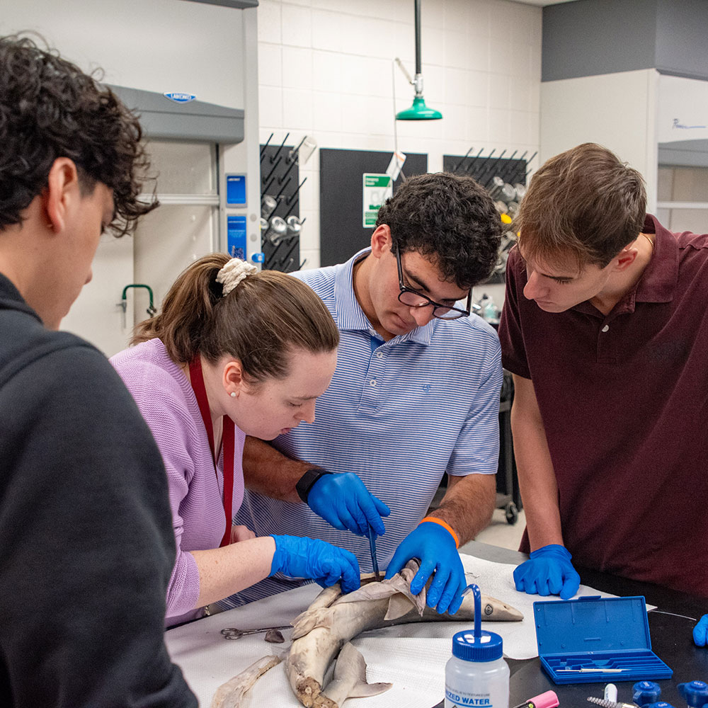 Getting to the Heart (and Liver and Spleen) of Biodiversity | Latest ...