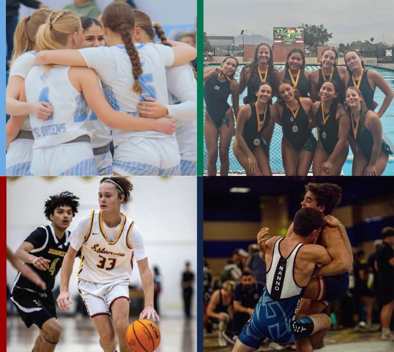 Winter Athletic Roundup | Details
