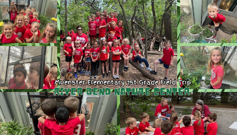 First Grade Field Trip to River Bend Nature Center | Post Details