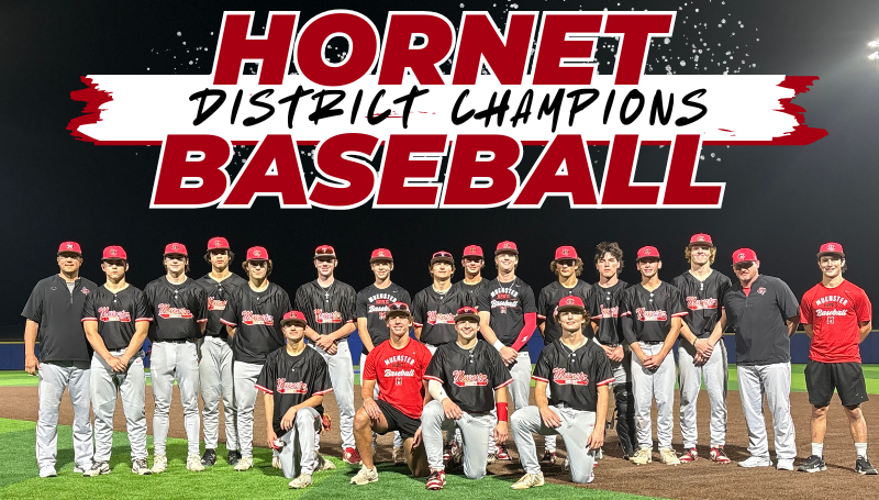 Congrats to Hornet Baseball - District Champs! | Post Details
