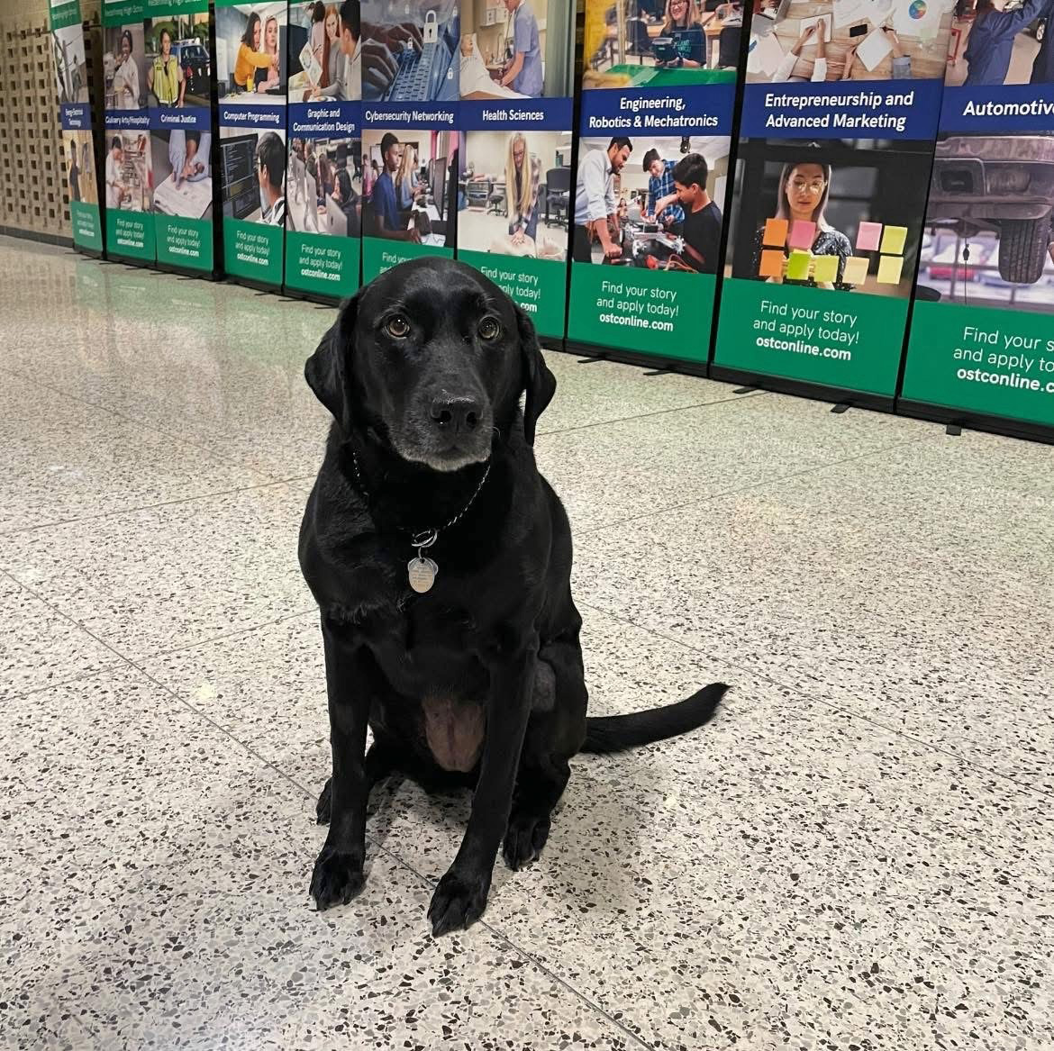 A Hero Hangs Up the Harness | Post Details